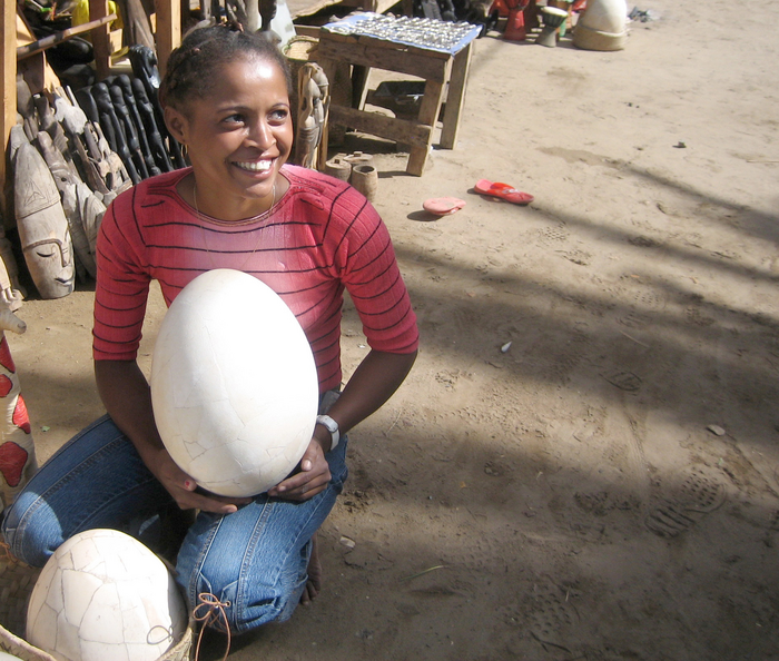 Elephant bird egg [IMAGE] | EurekAlert! Science News Releases