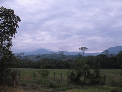 Orinoco River Basin (2 of 2) [IMAGE] | EurekAlert! Science News Releases