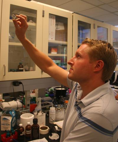 Genetic Clock Makers at UC San [IMAGE] | EurekAlert! Science News Releases