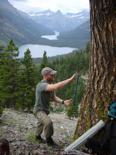 Tree Core [IMAGE] | EurekAlert! Science News Releases