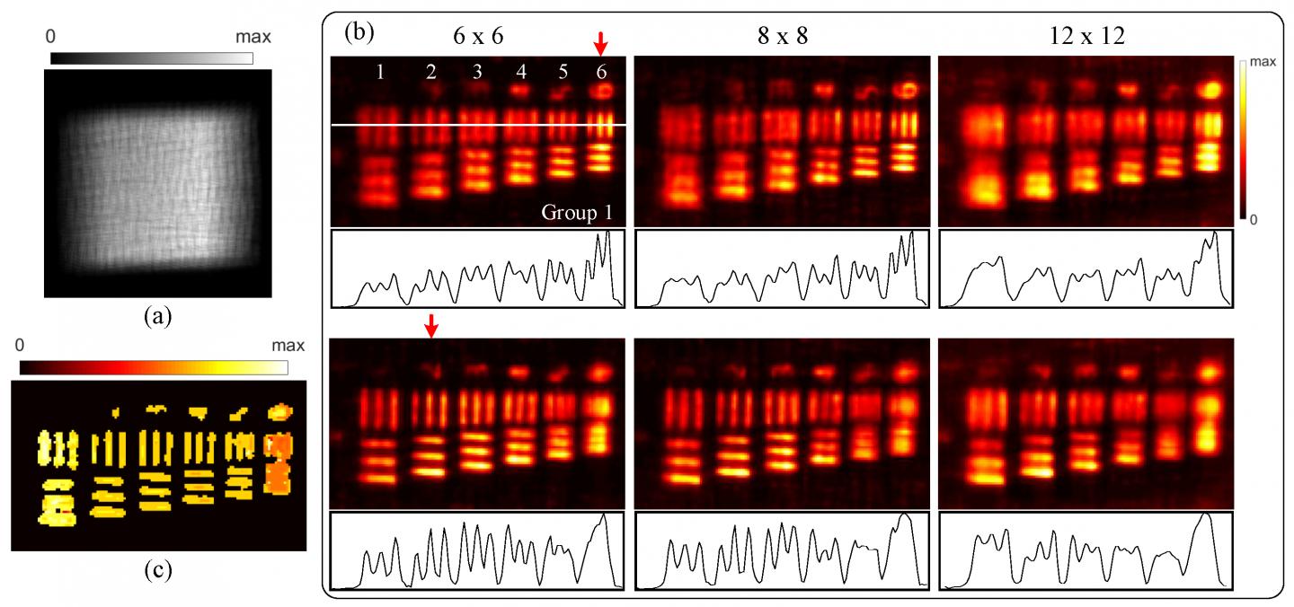 Light-field Imaging With Diffe [IMAGE] | EurekAlert! Science News Releases