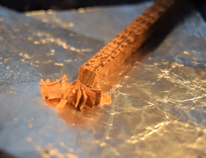 Oak tree ring core ready for c [IMAGE] | EurekAlert! Science News Releases