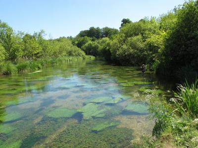 River Itchen in Hampshire [IMAGE] | EurekAlert! Science News Releases