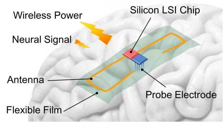 Wirelessly supplying power to brain | EurekAlert!