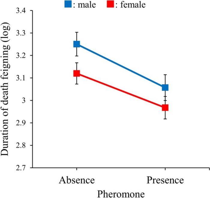 Pheromones influence death feigning behavior | EurekAlert!