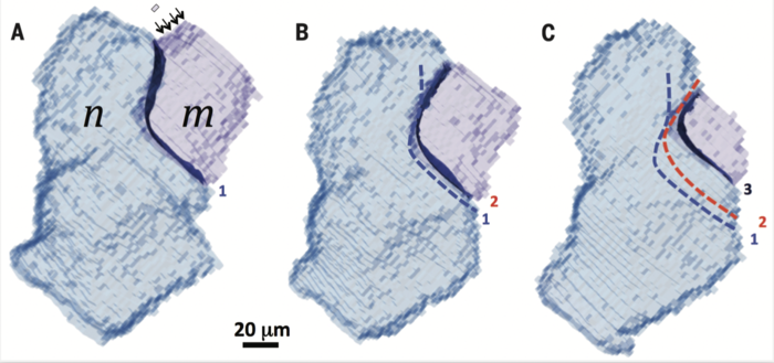 Grain Boundary [IMAGE] | EurekAlert! Science News Releases