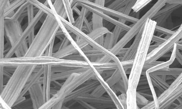 Nickel Felt electrode - EM vie [IMAGE] | EurekAlert! Science News Releases