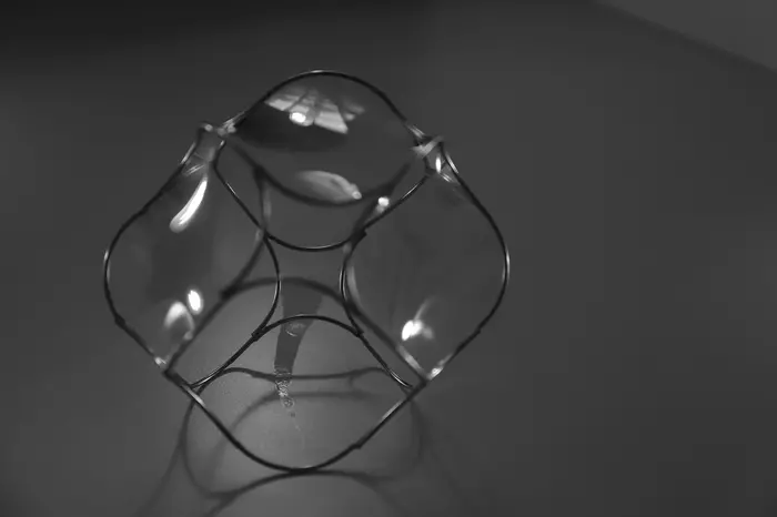 Soft Cell 2 [IMAGE] | EurekAlert! Science News Releases