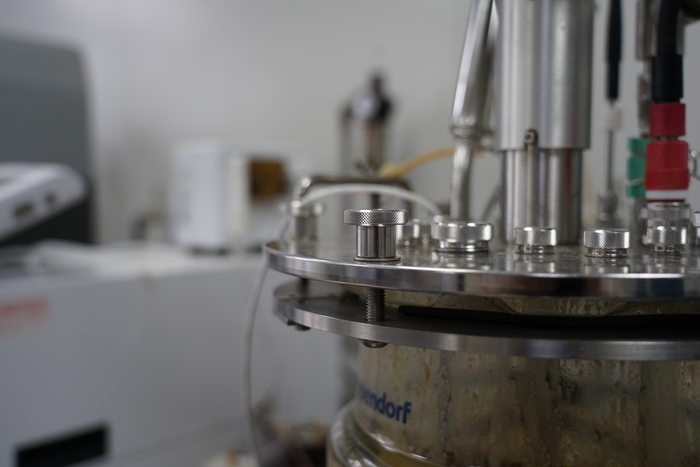 Scientists Find Vitamin K2 Rep [IMAGE] | EurekAlert! Science News Releases