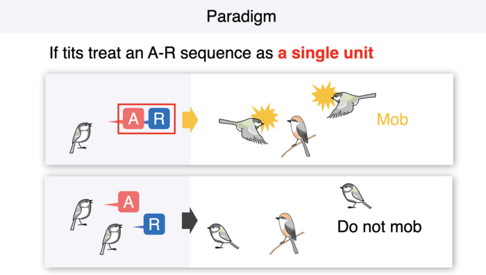 Paradigm: Core-Merge [IMAGE] | EurekAlert! Science News Releases