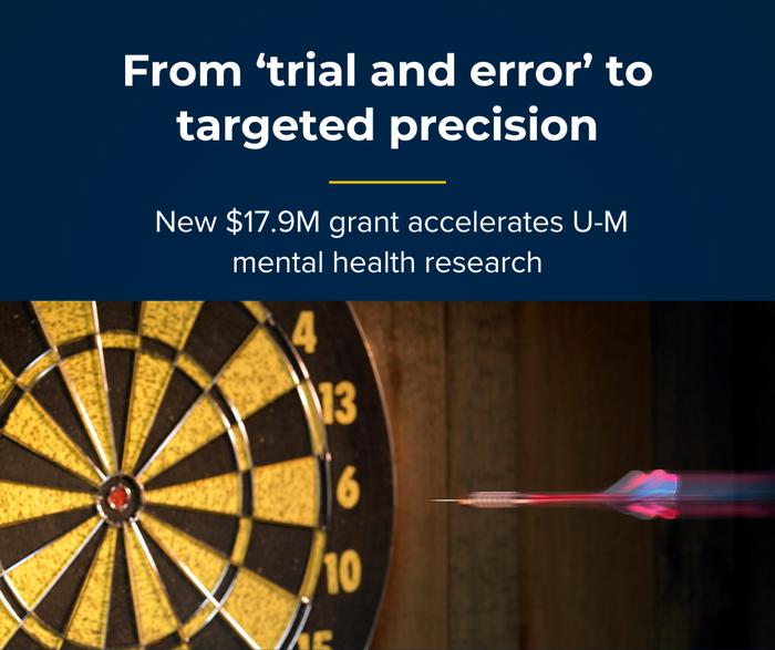 Precision mental health [IMAGE] | EurekAlert! Science News Releases