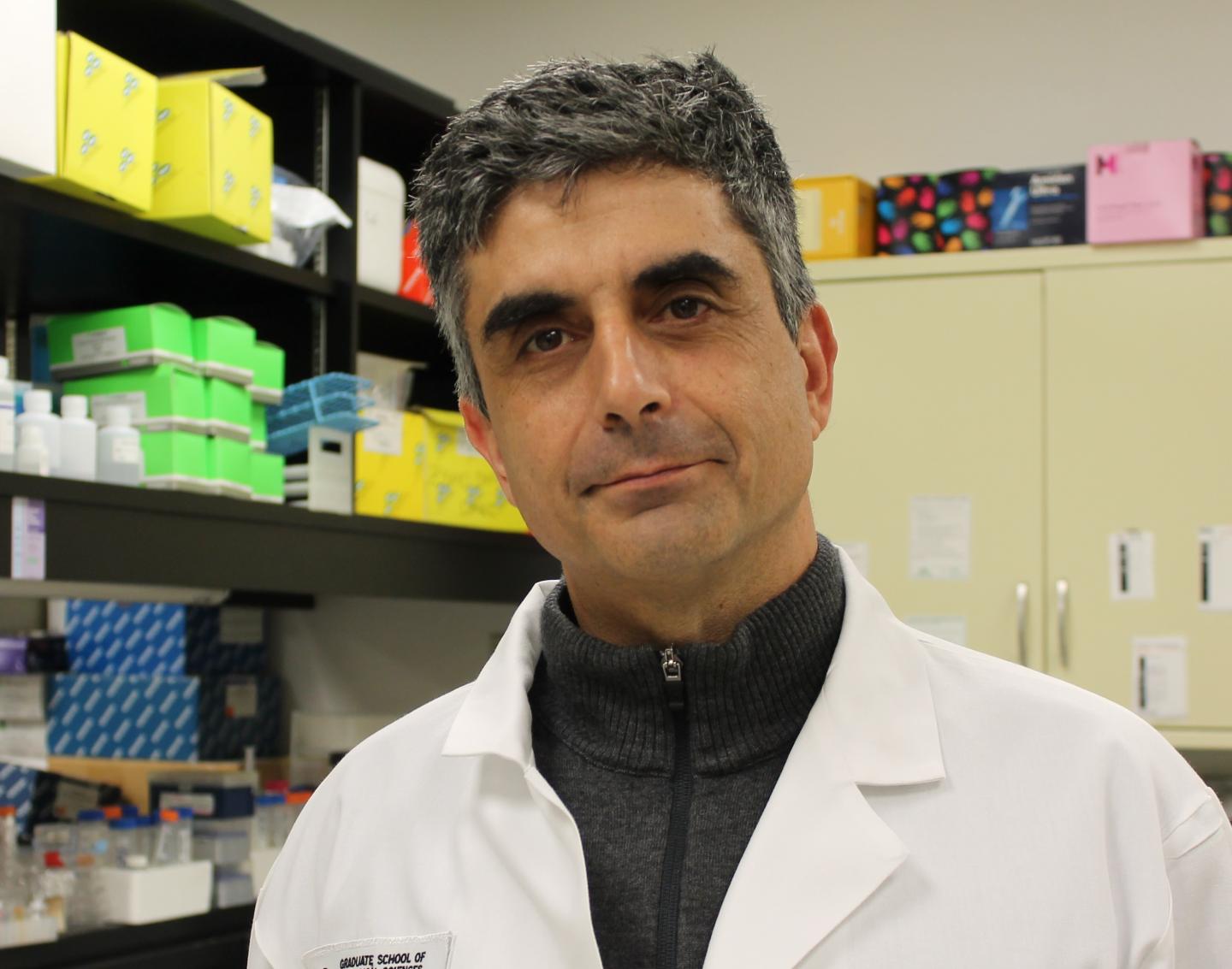 Rui Sousa, Ph.D., UT Health Sa [IMAGE] | EurekAlert! Science News Releases