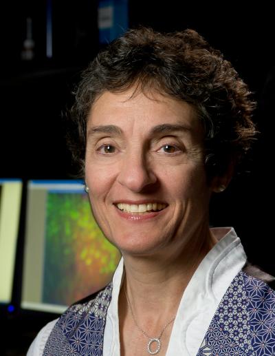 Carla Shatz, Stanford Universi [IMAGE] | EurekAlert! Science News Releases