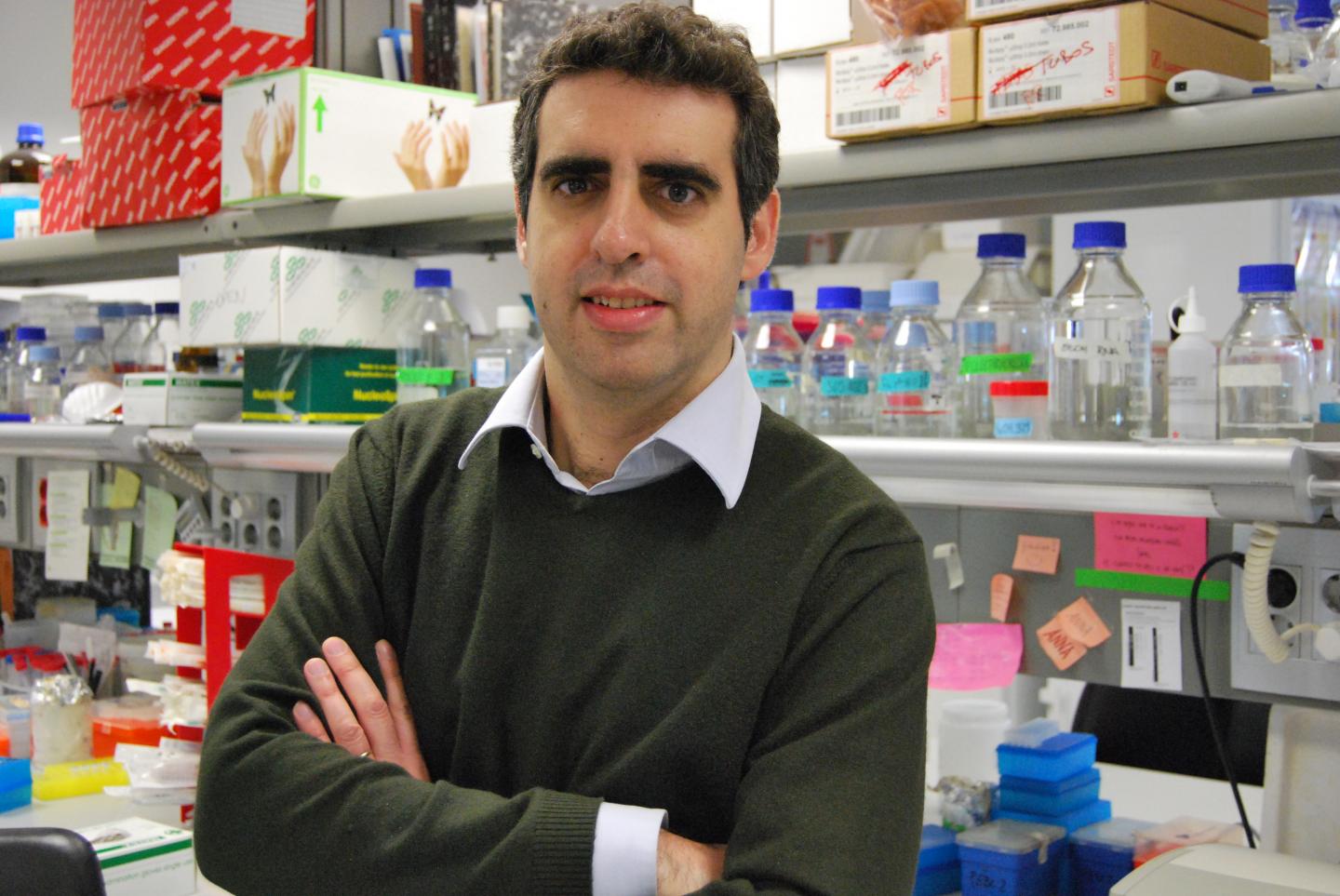 Researcher Manel Esteller is awarded a 2016 P | EurekAlert!