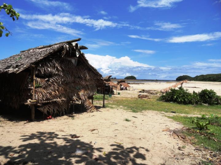 Agta Camp [IMAGE] | EurekAlert! Science News Releases