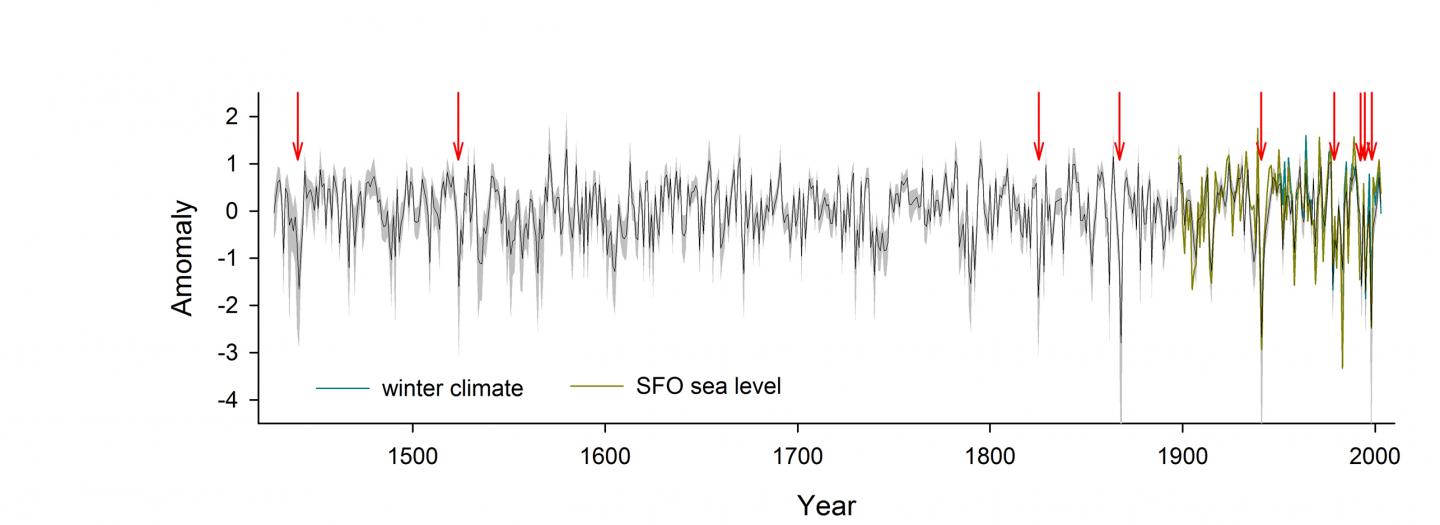Thanks to the Trees: A 6-Century Record of Ca | EurekAlert!