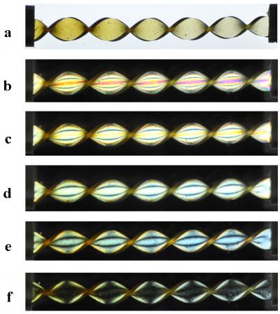 A New Plastic Both Tough and M [IMAGE] | EurekAlert! Science News Releases