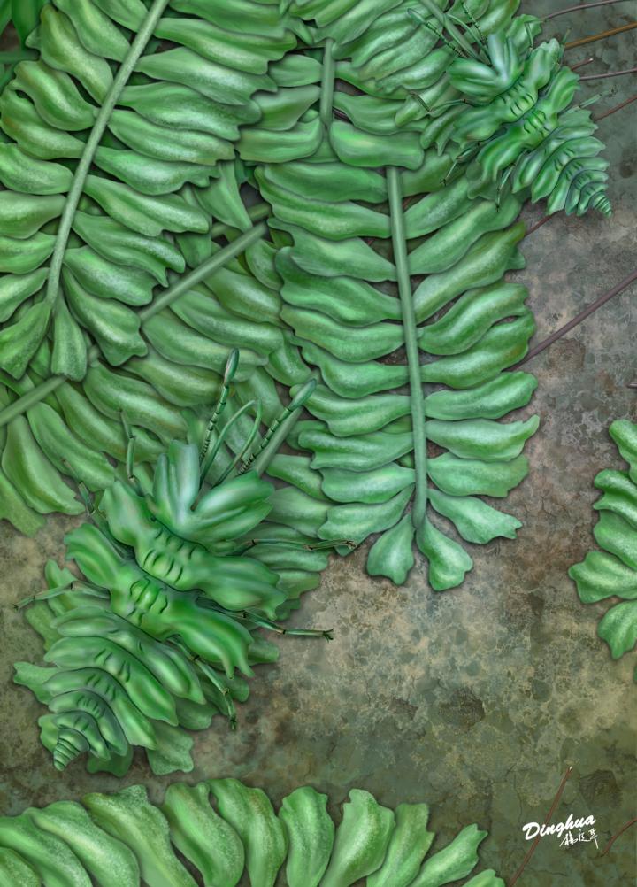 Ecological Reconstruction [IMAGE] | EurekAlert! Science News Releases