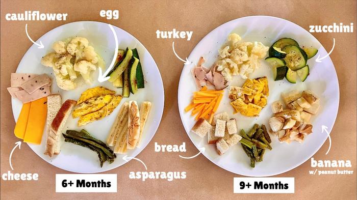 Baby-led weaning plates [IMAGE] | EurekAlert! Science News Releases