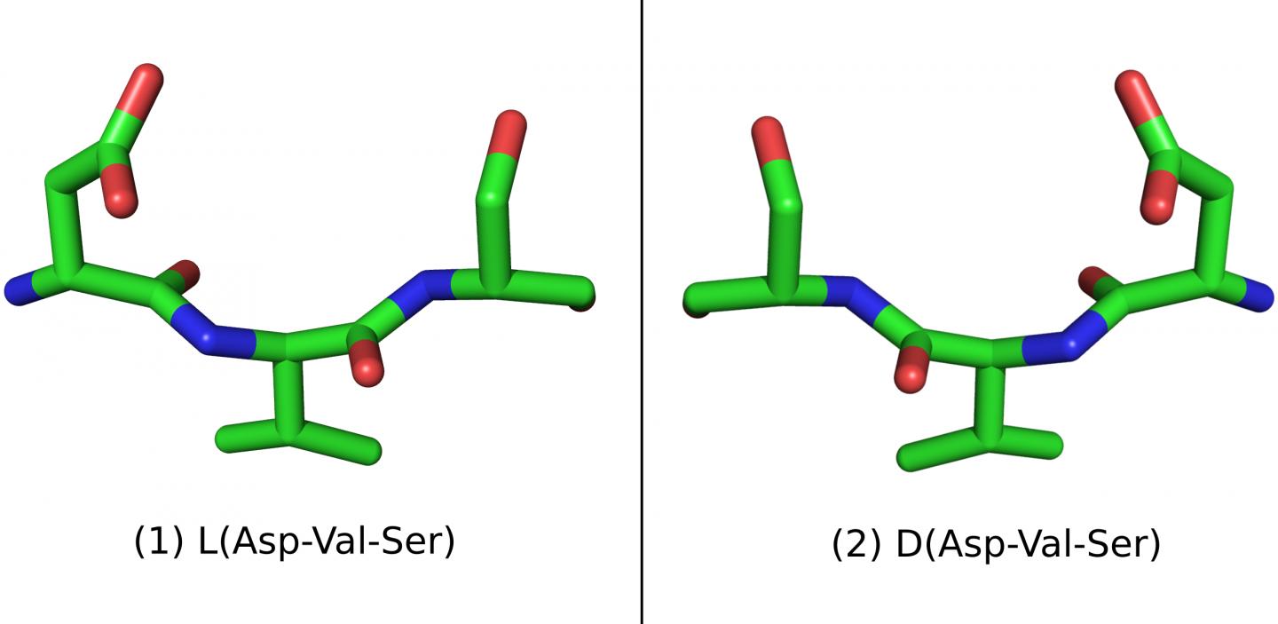 Linear Peptide [IMAGE] | EurekAlert! Science News Releases