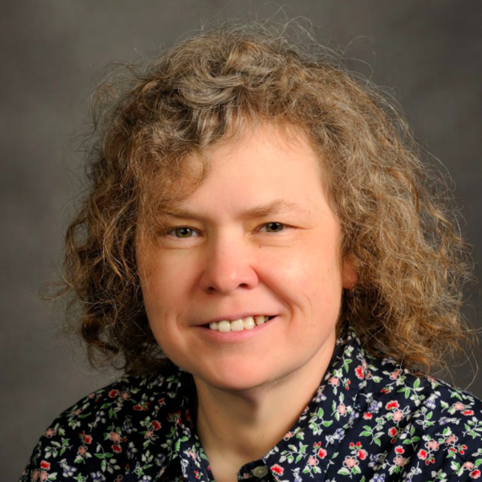 A path to human-like machine intelligence | EurekAlert!