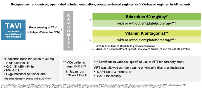 ENVISAGE-TAVI AF STUDY DESIGN [IMAGE] | EurekAlert! Science News Releases