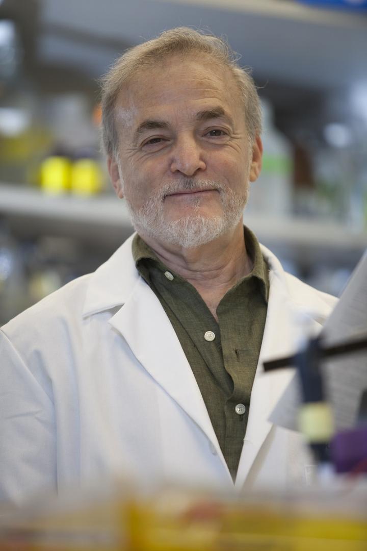 Dr. Stephen Baylin, Johns Hopk [IMAGE] | EurekAlert! Science News Releases