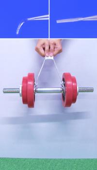 Key Figures [IMAGE] | EurekAlert! Science News Releases