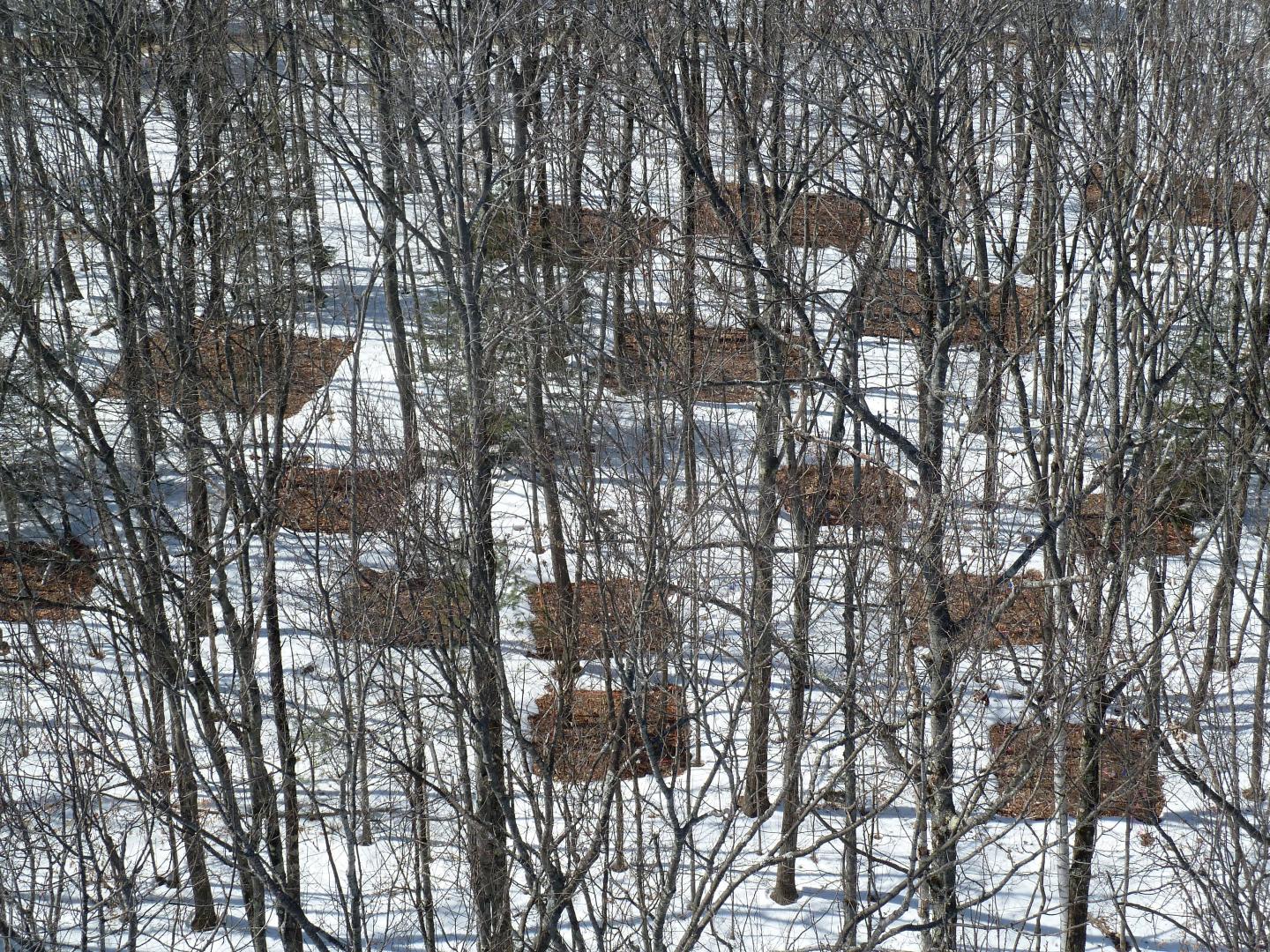 Melillo et al Soil Warming Exp [IMAGE] | EurekAlert! Science News Releases