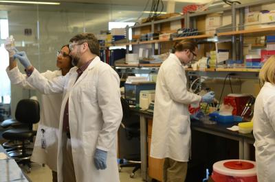 Dwight A. Towler, Sanford-Burn [IMAGE] | EurekAlert! Science News Releases