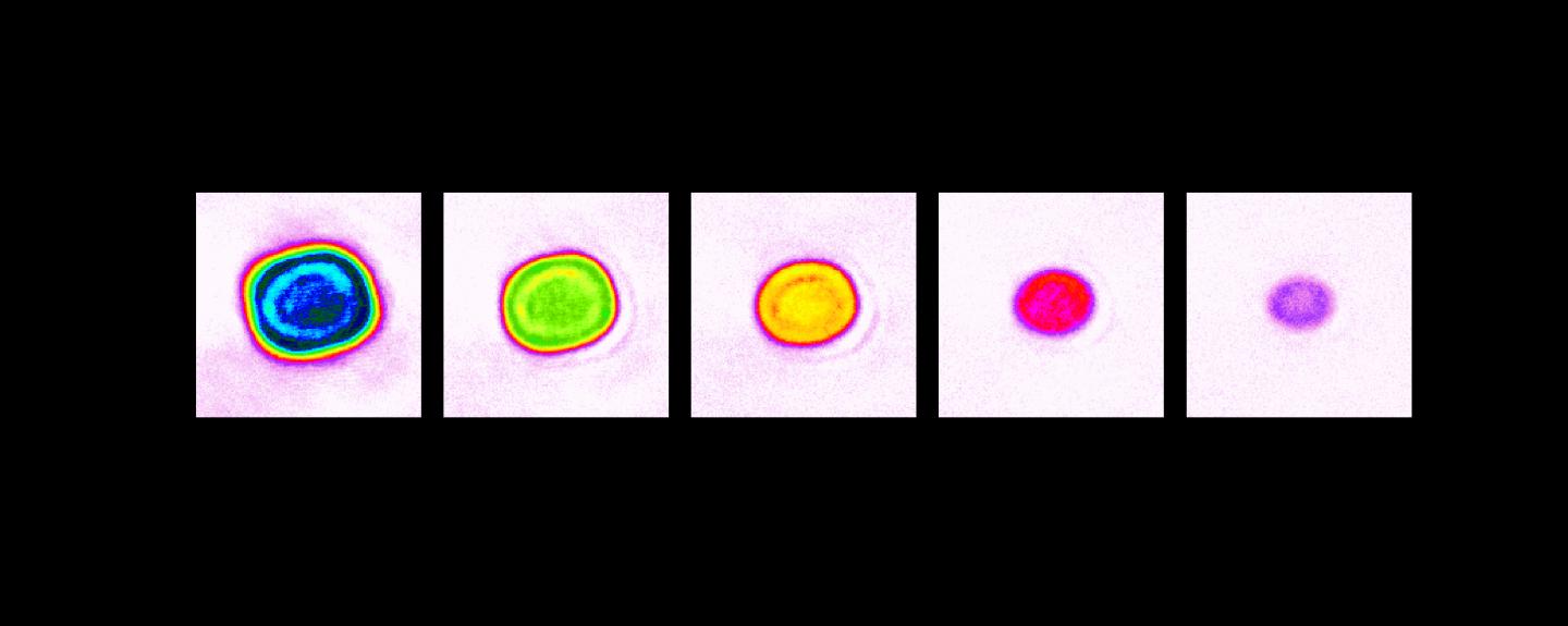 Colored Blobs [IMAGE] | EurekAlert! Science News Releases