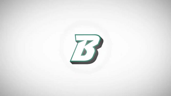 Binghamton battery project named one of 10 NS | EurekAlert!