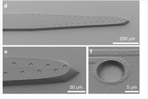 Multi-area brain monitoring pr [IMAGE] | EurekAlert! Science News Releases