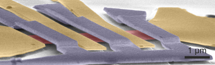 Graphene flake with free-float [IMAGE] | EurekAlert! Science News Releases