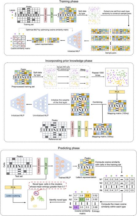 Figure 1 [IMAGE] | EurekAlert! Science News Releases