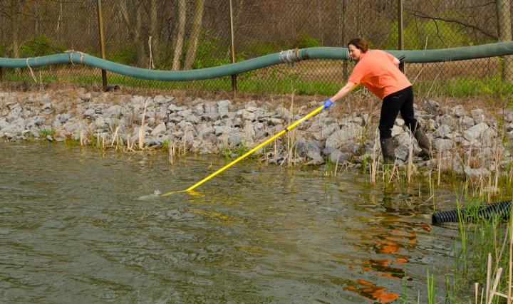 Water Sampling [IMAGE] | EurekAlert! Science News Releases