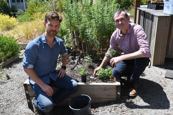 Dr Craig Liddicoat [IMAGE] | EurekAlert! Science News Releases