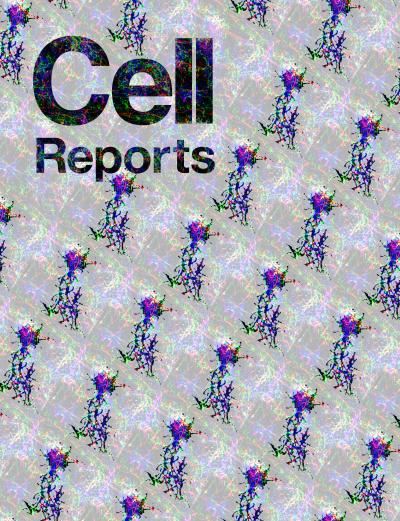 Cell Reports Cover [IMAGE] | EurekAlert! Science News Releases