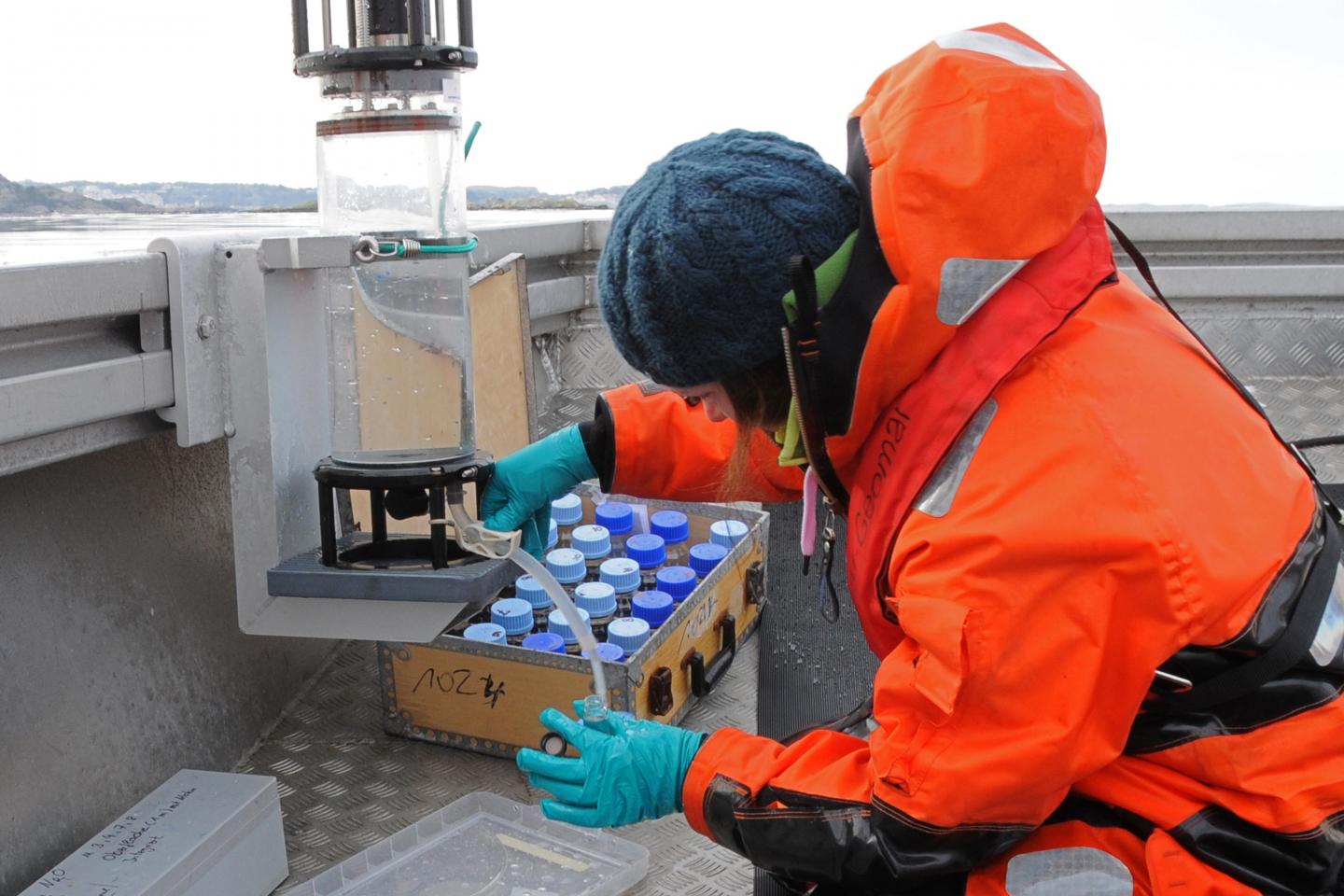 Is the Ocean More Resilient to Acidification | EurekAlert!