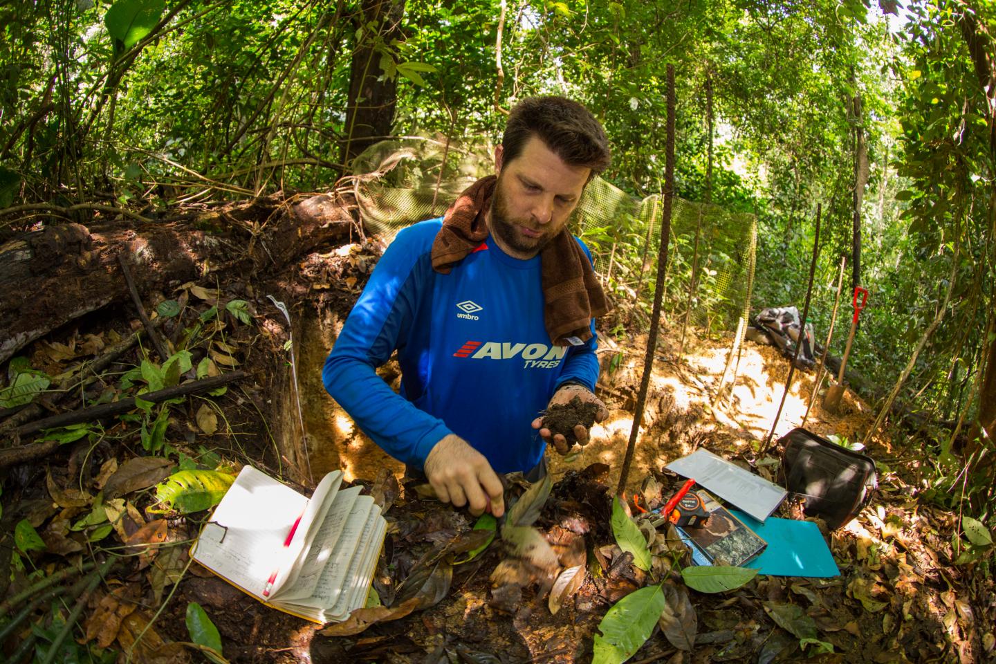 Soil studies [IMAGE] | EurekAlert! Science News Releases