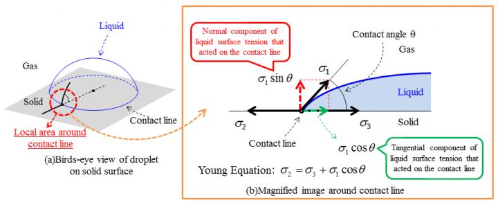 Schematic for Force Balance of [IMAGE] | EurekAlert! Science News Releases