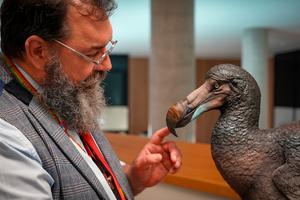 Rethinking the dodo | EurekAlert!