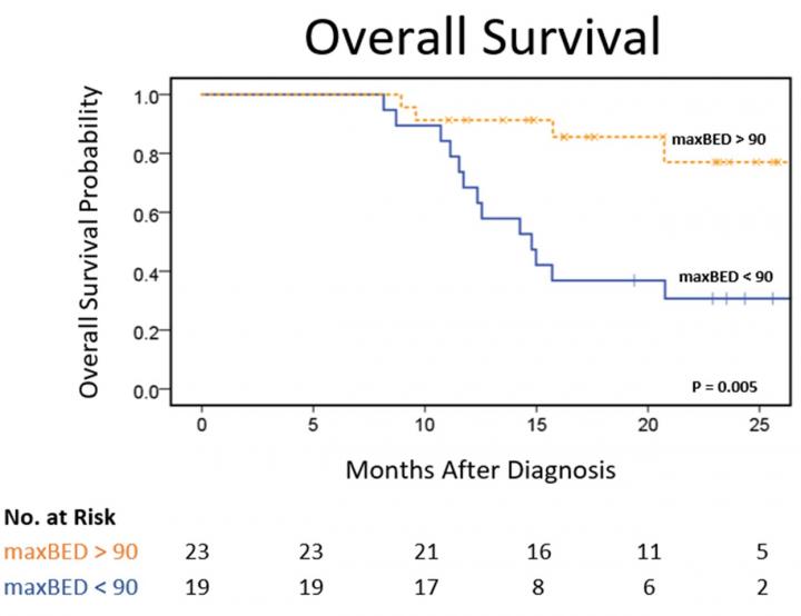 Overall Survival Curve [IMAGE] | EurekAlert! Science News Releases