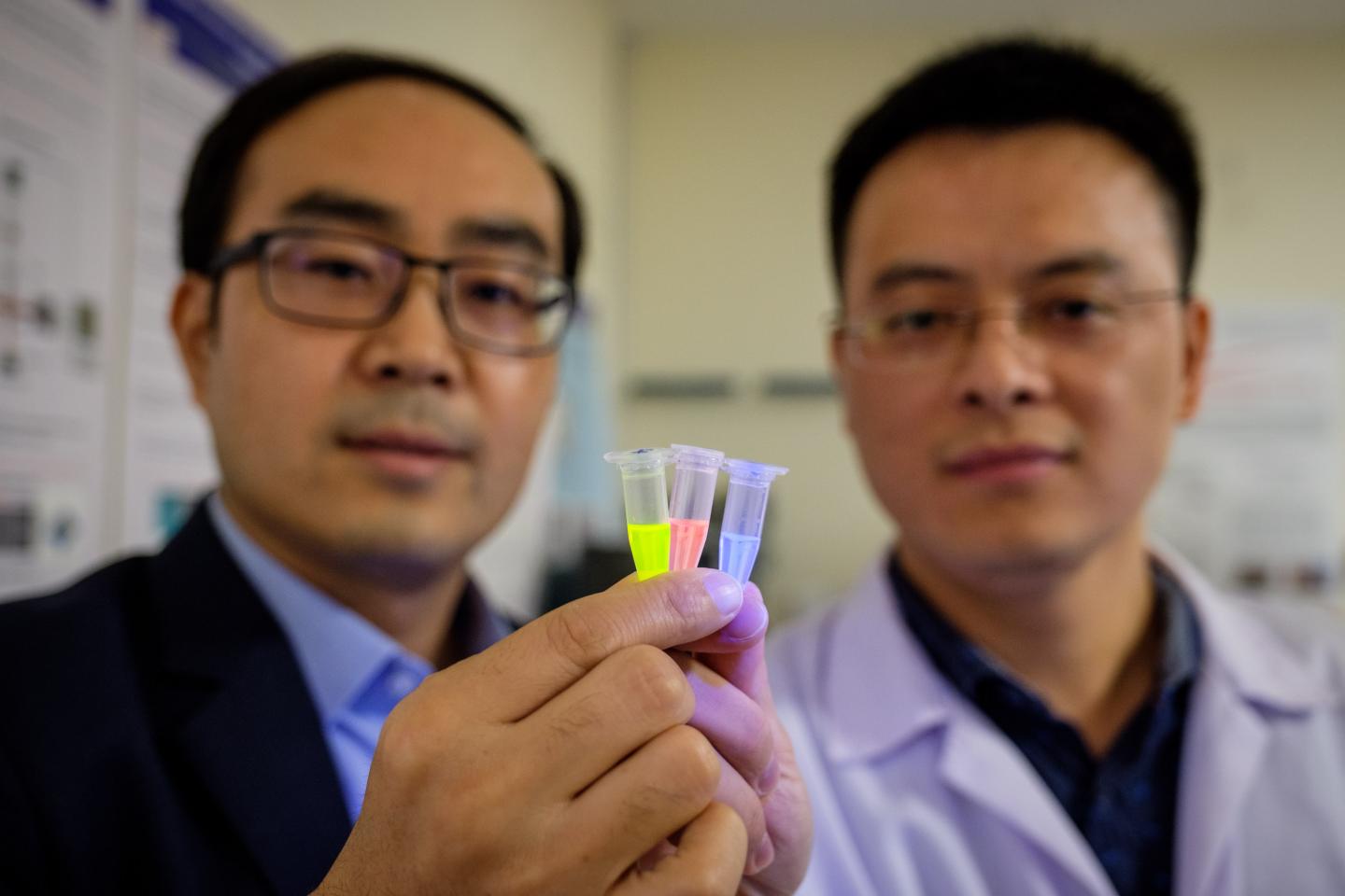 The Probes [IMAGE] | EurekAlert! Science News Releases