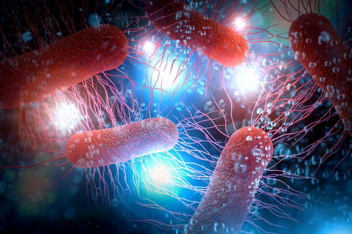 E. Coli [IMAGE] | EurekAlert! Science News Releases