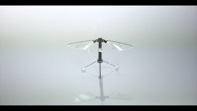 Agile Flight for a Tiny, Winged Robot (5 of 5 | EurekAlert!
