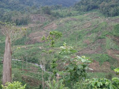 Human Encroachment into Tiger [IMAGE] | EurekAlert! Science News Releases