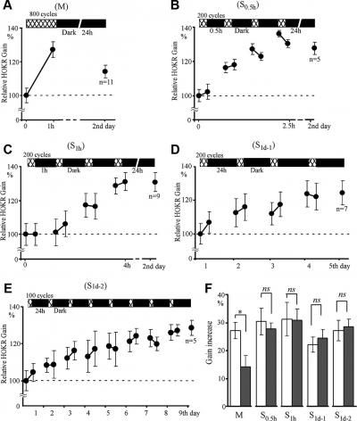 Time Course and Retention of M [IMAGE] | EurekAlert! Science News Releases