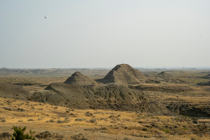 Hell Creek formation [IMAGE] | EurekAlert! Science News Releases