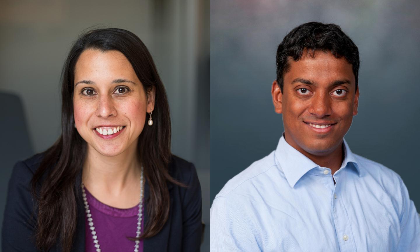 Isil Dillig and Swarat Chaudhu [IMAGE] | EurekAlert! Science News Releases